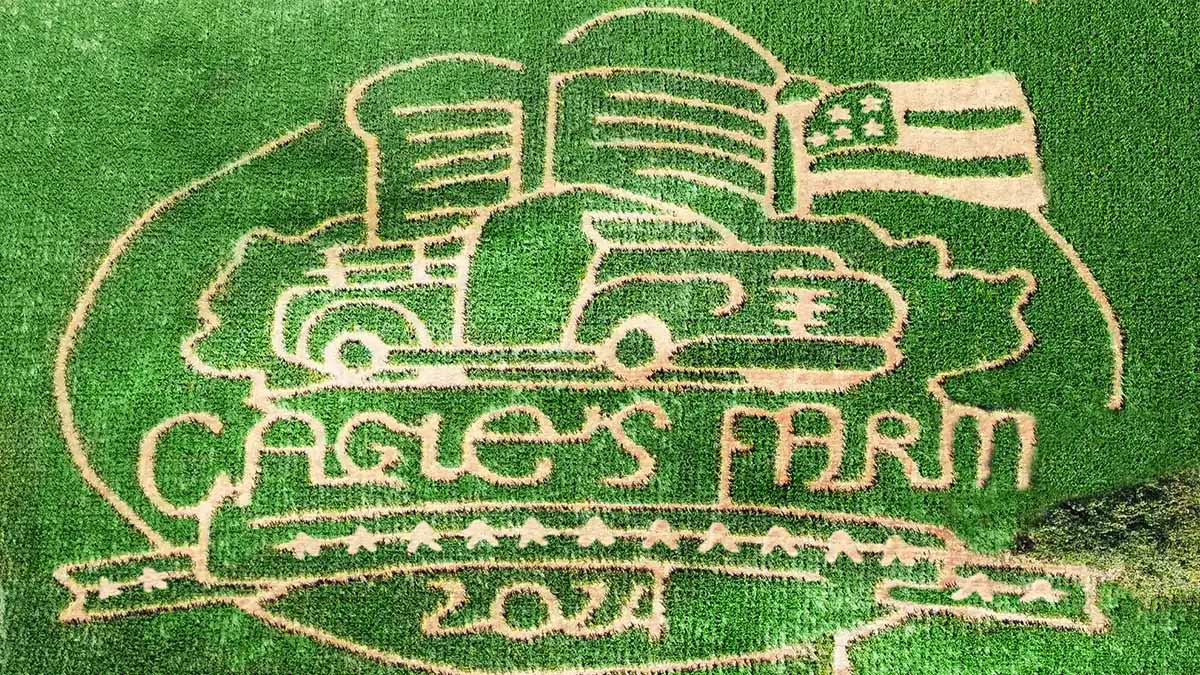 It's Amazing! - Cagles Farm