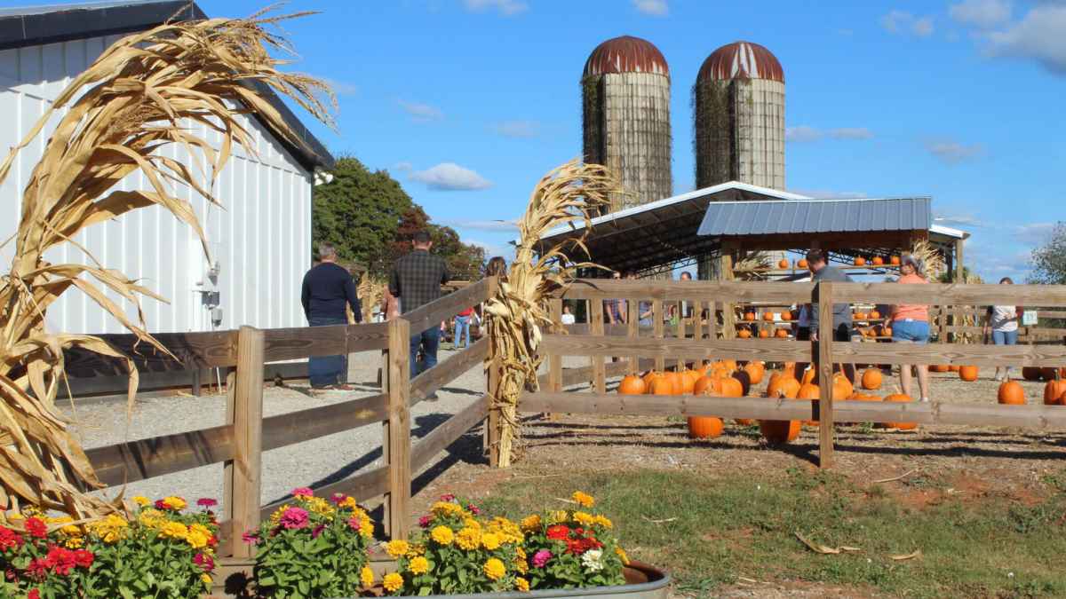 Welcome 2025 - Cagles Farm